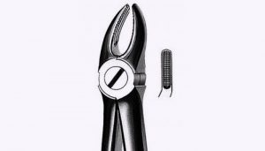 Fórceps dentales: guía para conocerlos a todos - Suministros Antón